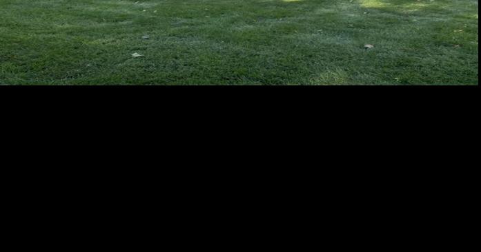 Goodland Fire Department acquires MCI trailer for rapid response ...