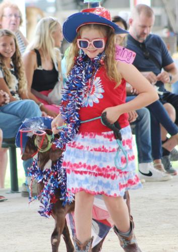 Kohl wins Iroquois County Fair Costume Goat Lead contest | News ...