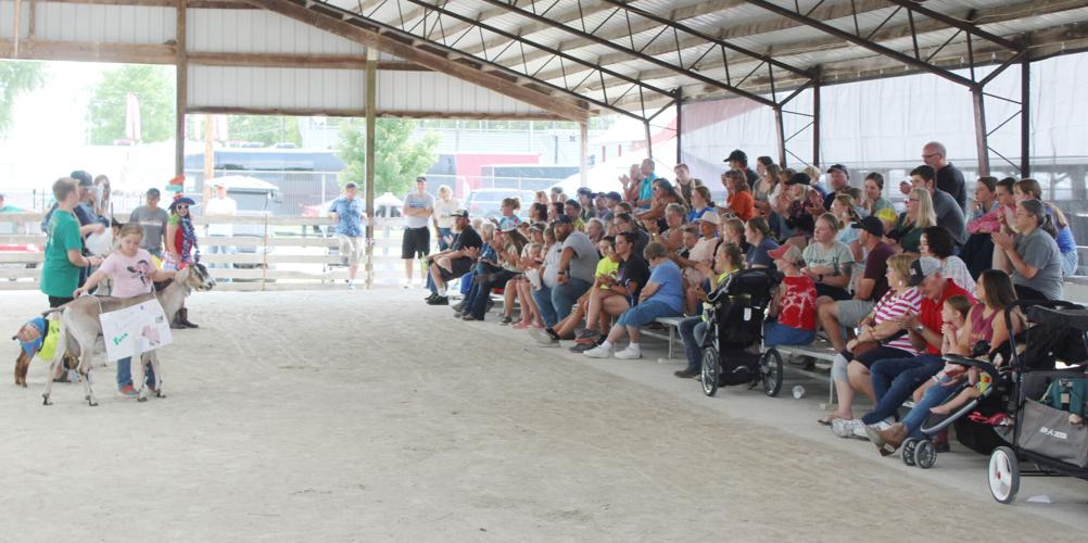 Kohl wins Iroquois County Fair Costume Goat Lead contest | News ...