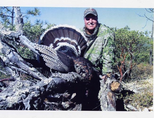 Lengthen Your Spring Turkey Season This year | Monticello Herald ...