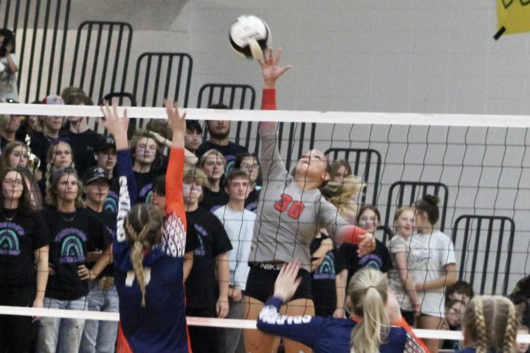 Rebels, Spartans face off at South Newton | Sports | newsbug.info