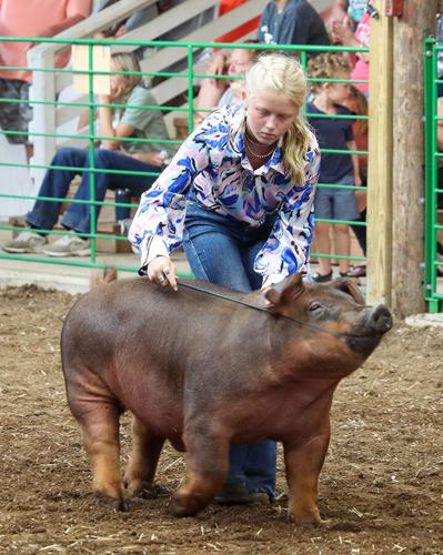 Cocanower cleans up at White County Swine Show | Agriculture | newsbug.info