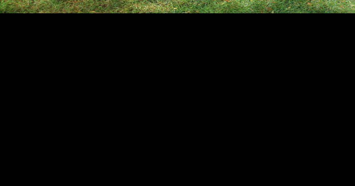 Hawks Reading Challenge finishers treated to carnival | News | newsbug.info