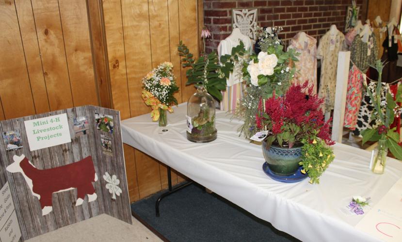 Warren County 4-H members showcase exhibits at Warren County Fair ...
