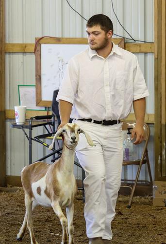 White County goat show brings in long list of winners | Agriculture ...