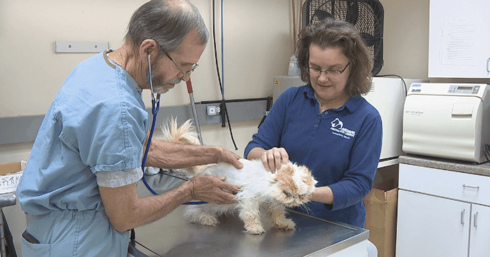 Women Without Limits: APL's Deana Corbin | Women Without Limits ...