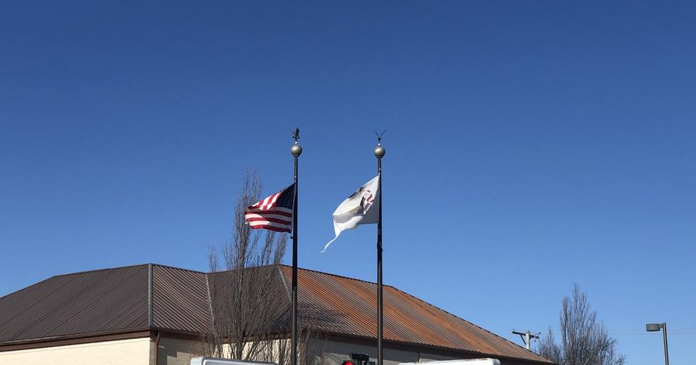 Illinois flags will fly at half-staff, veteran's body returning to ...
