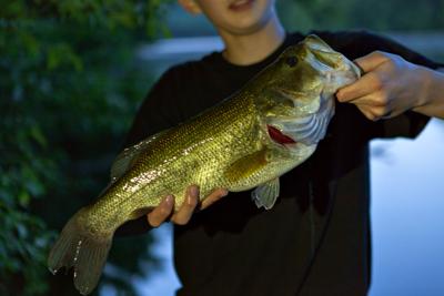 Du Quoin State Fairgrounds to host Free Fishing Day for Kids in July ...