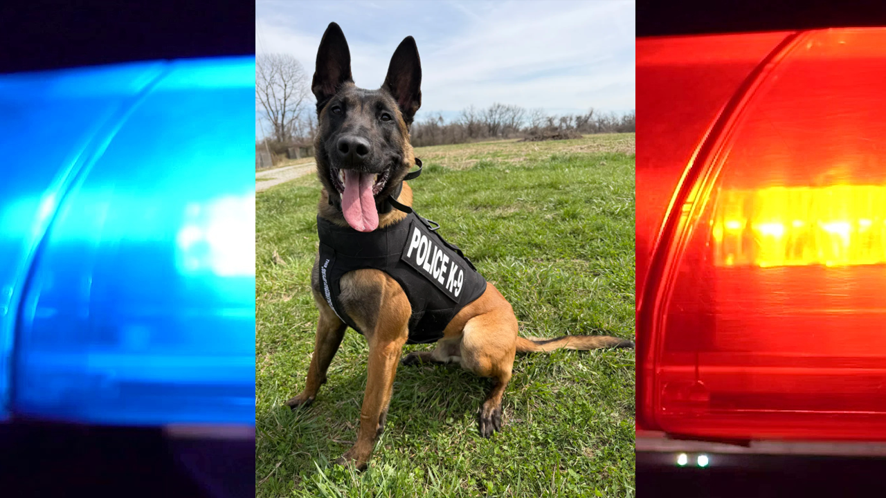 Illinois State Police K9 Zeus receives body armor donation | News ...