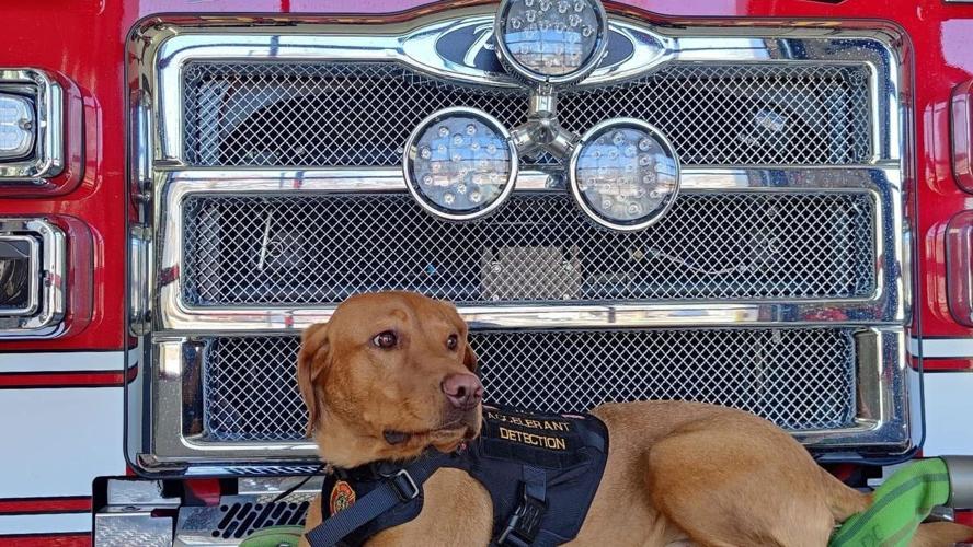 Ep 5: Springfield Fire Department Public Safety Office: Protecting the ...