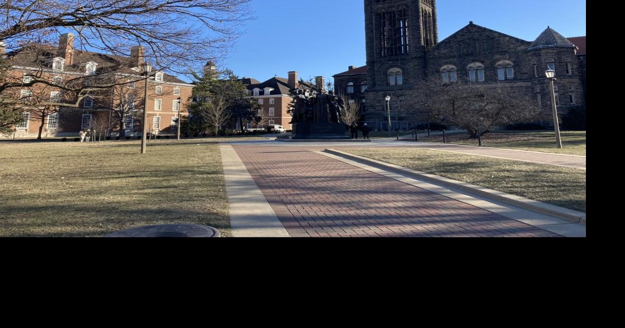 Illini Republicans defend ICE in social media post | Local News ...