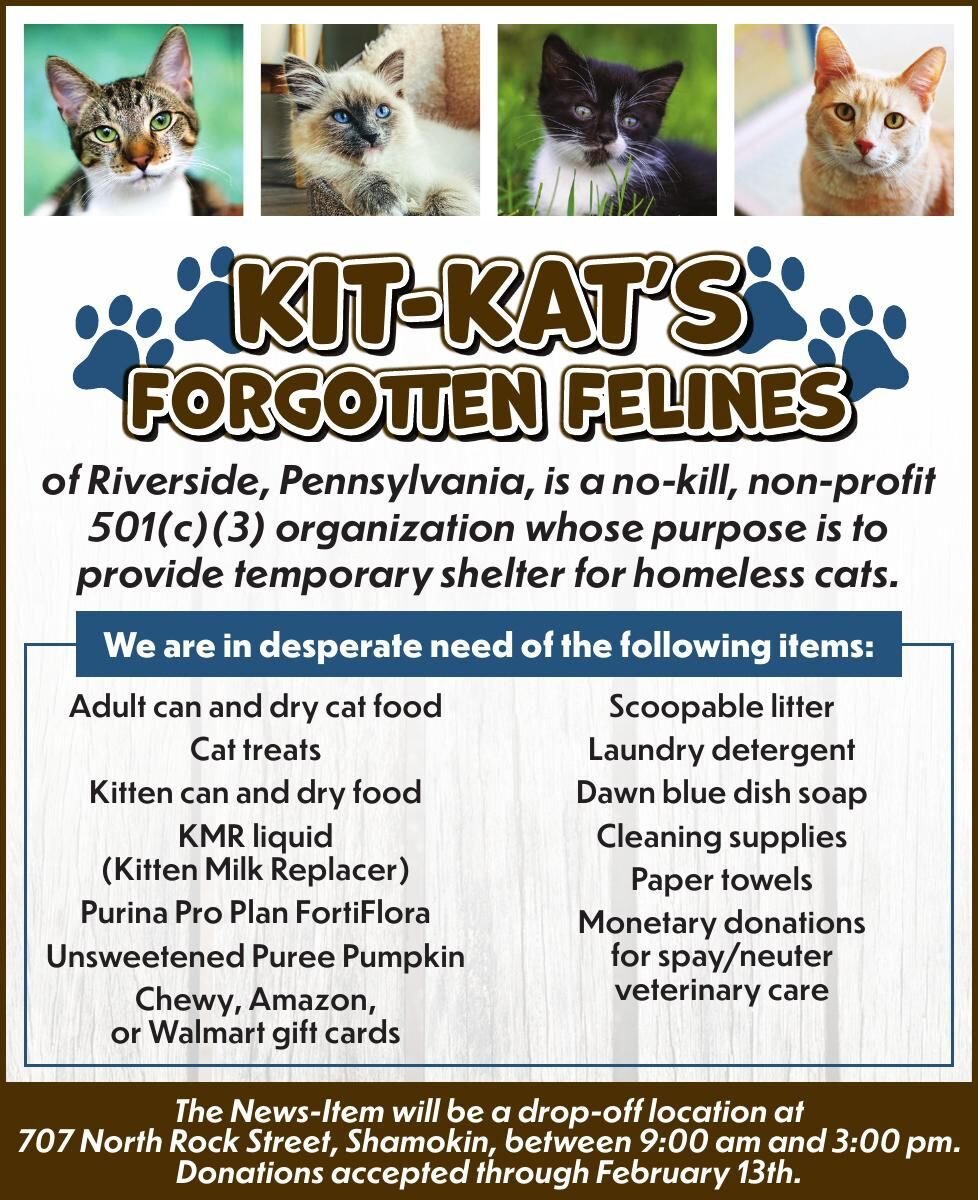 Kit-Kat’s Forgotten Felines of | Ads | newsitem.com