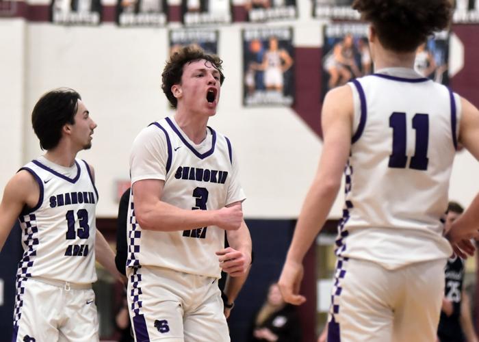 H.S. Boys Basketball: Hile preparing for last ride with Shamokin ...