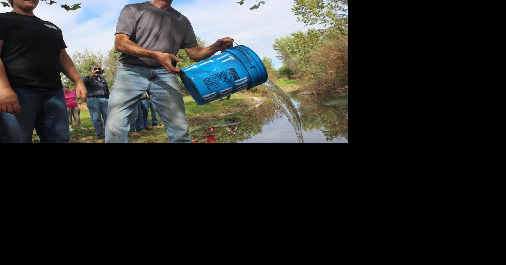 Brook trout stocked in Limestone Run | Local | newsitem.com