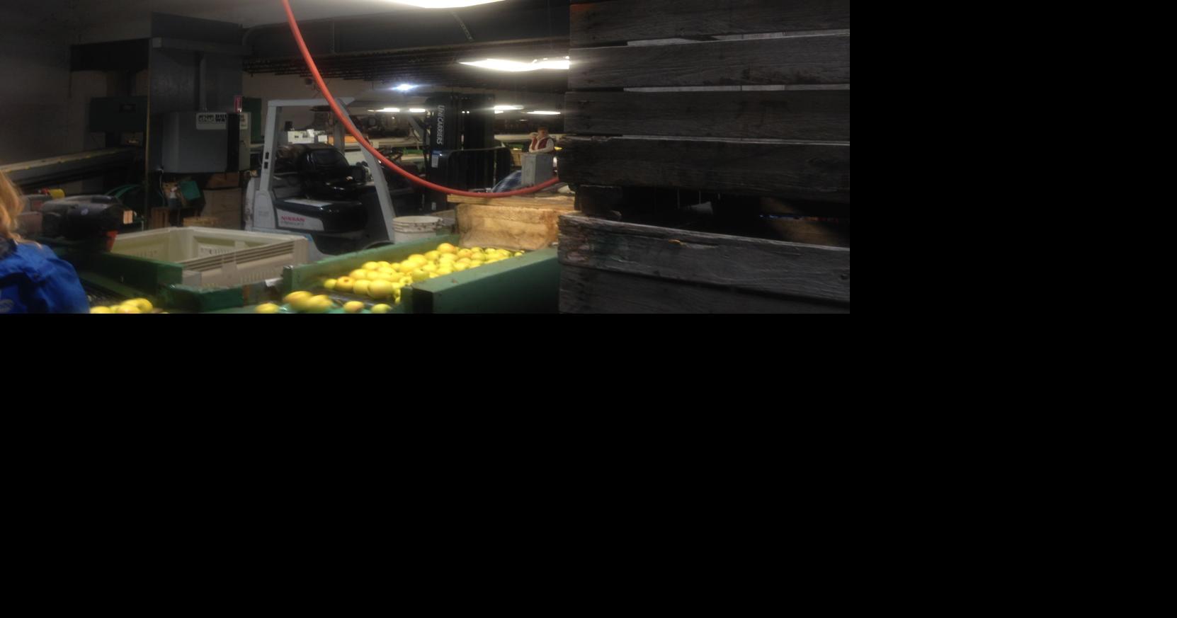 DEP officials visit Dries Orchards to view LED lighting project | Local ...