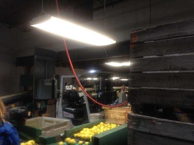 DEP officials visit Dries Orchards to view LED lighting project | Local ...