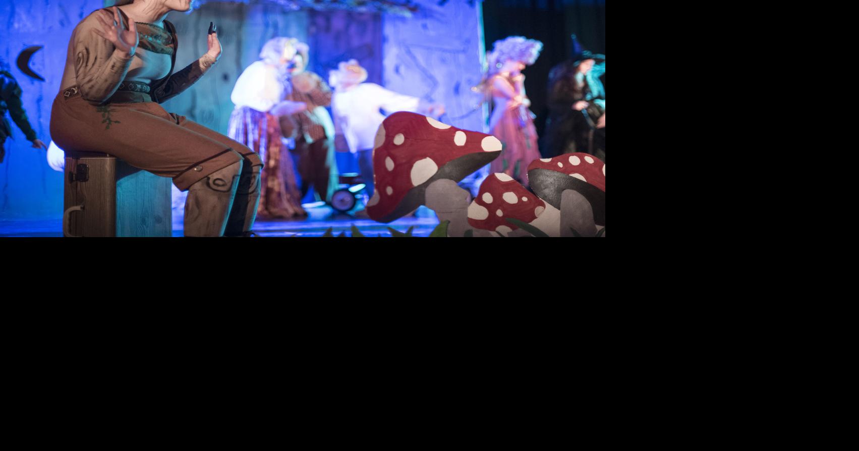 Tall on Talent: 'Shrek The Musical' strides onto Line Mountain stage ...