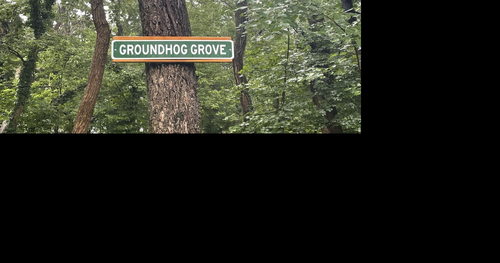 Master Gardener: My war with groundhogs | Home Garden | newsitem.com