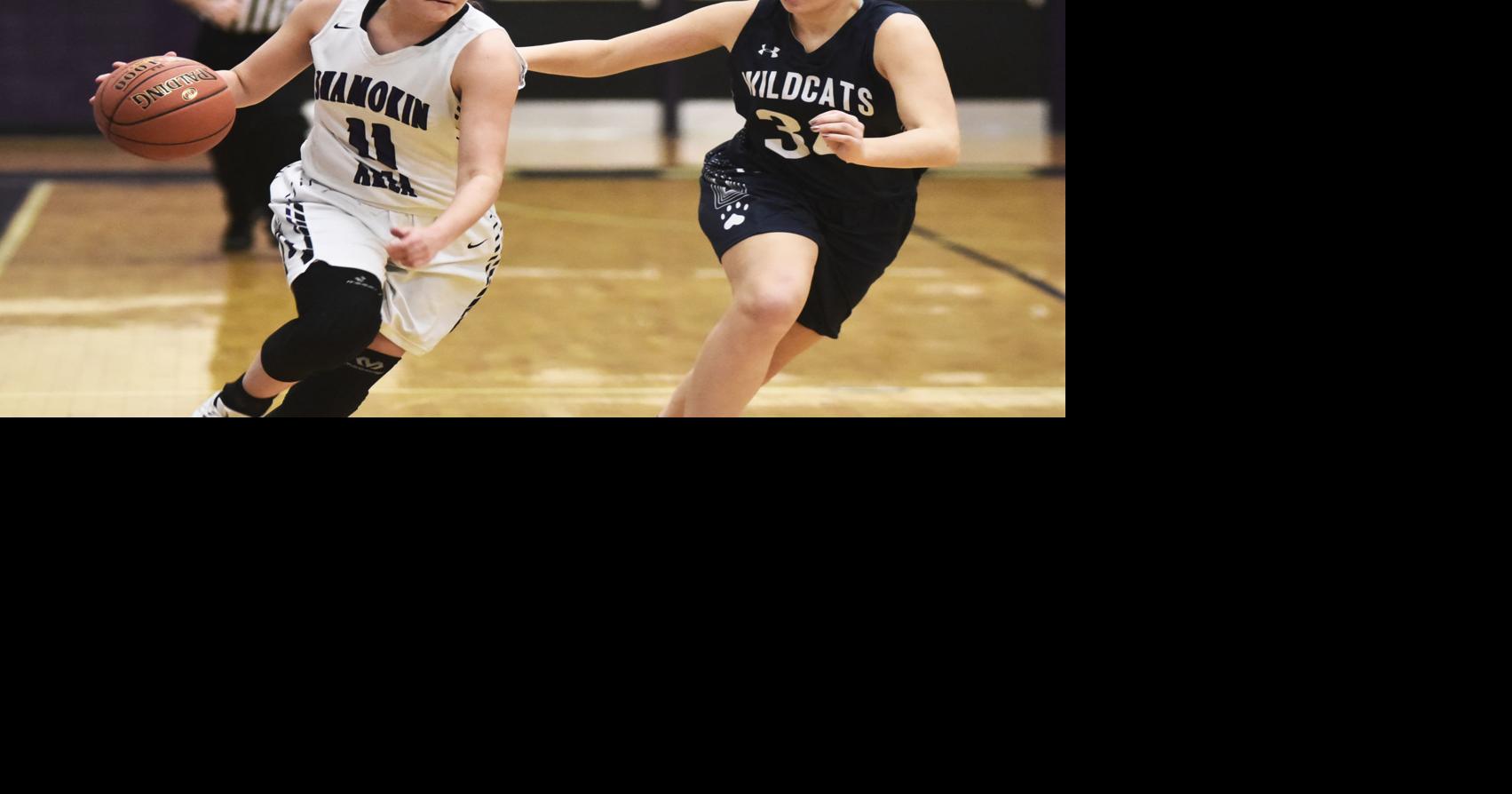 H.S. Girls Basketball: All-Area team consists of playmakers who can do ...