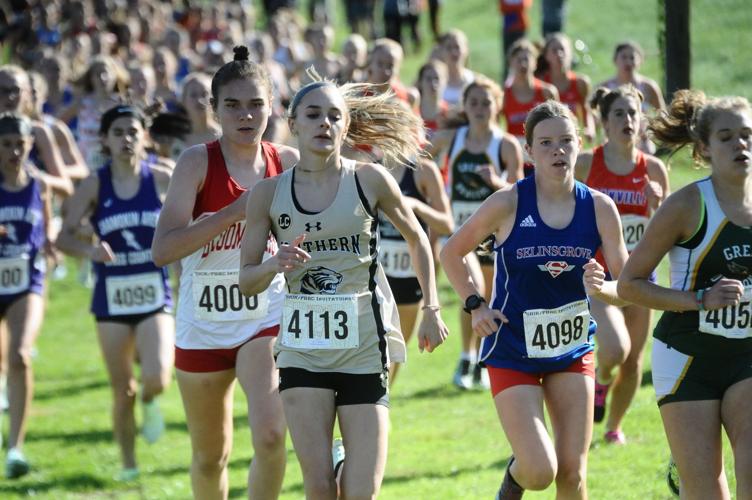 H.S. Girls Cross Country: Moncavage runs away with News-Item MVP ...