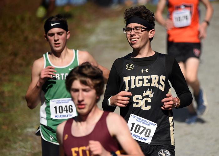 Cross Country: SCA's Moncavage takes 7th at states | Sports | newsitem.com