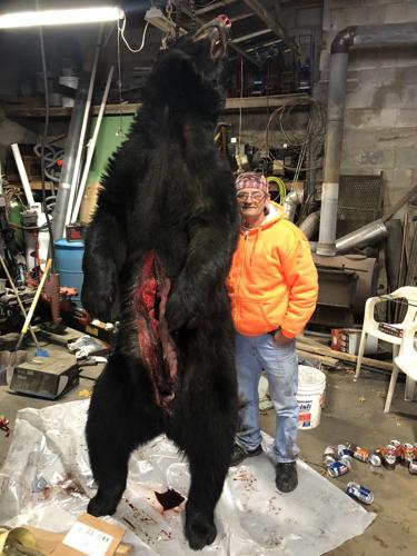 largest black bear killed