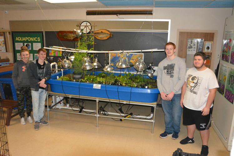 Farming future taking root in SCA classroom SCA students learn ...