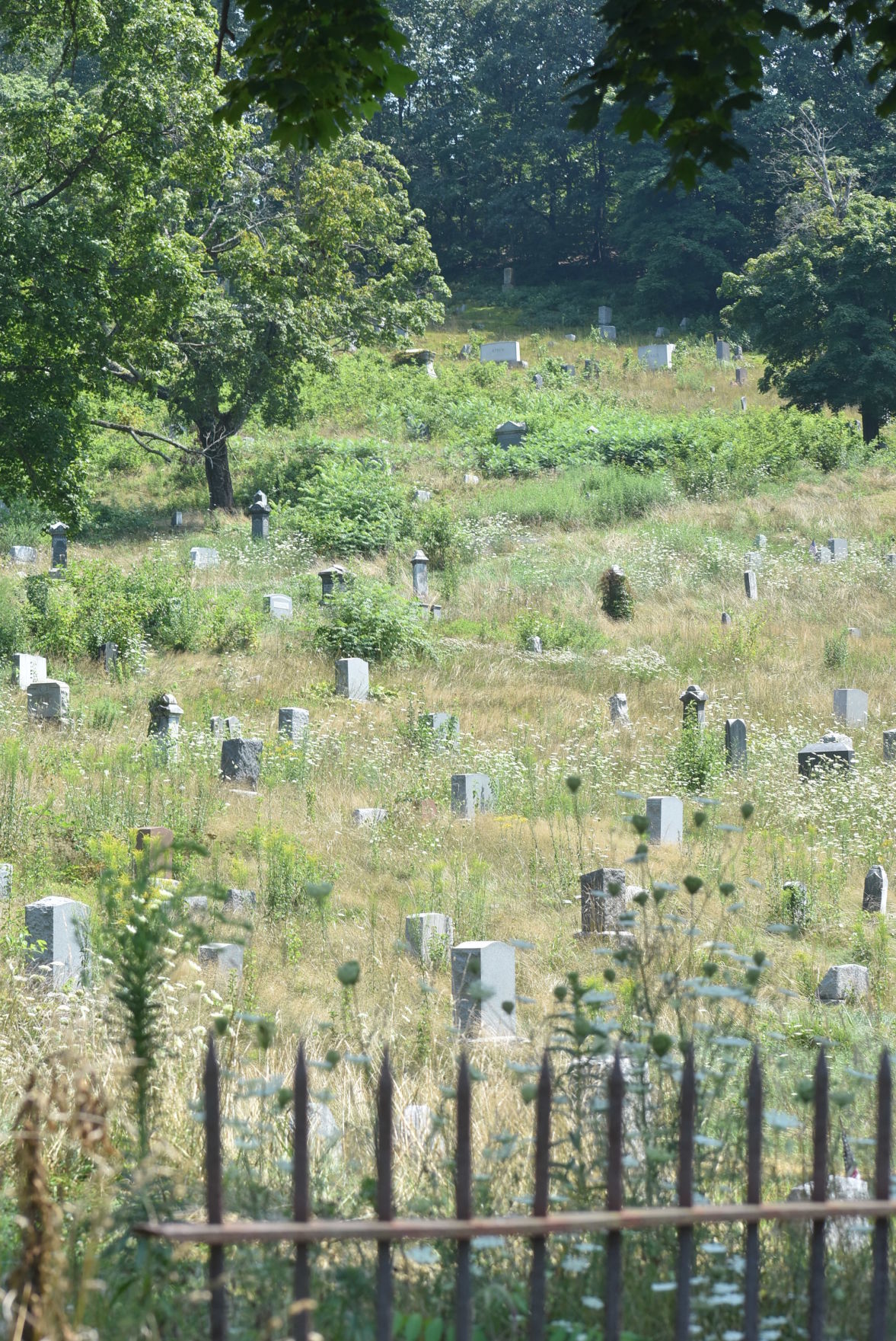 Shamokin Cemetery Blight | Local | newsitem.com