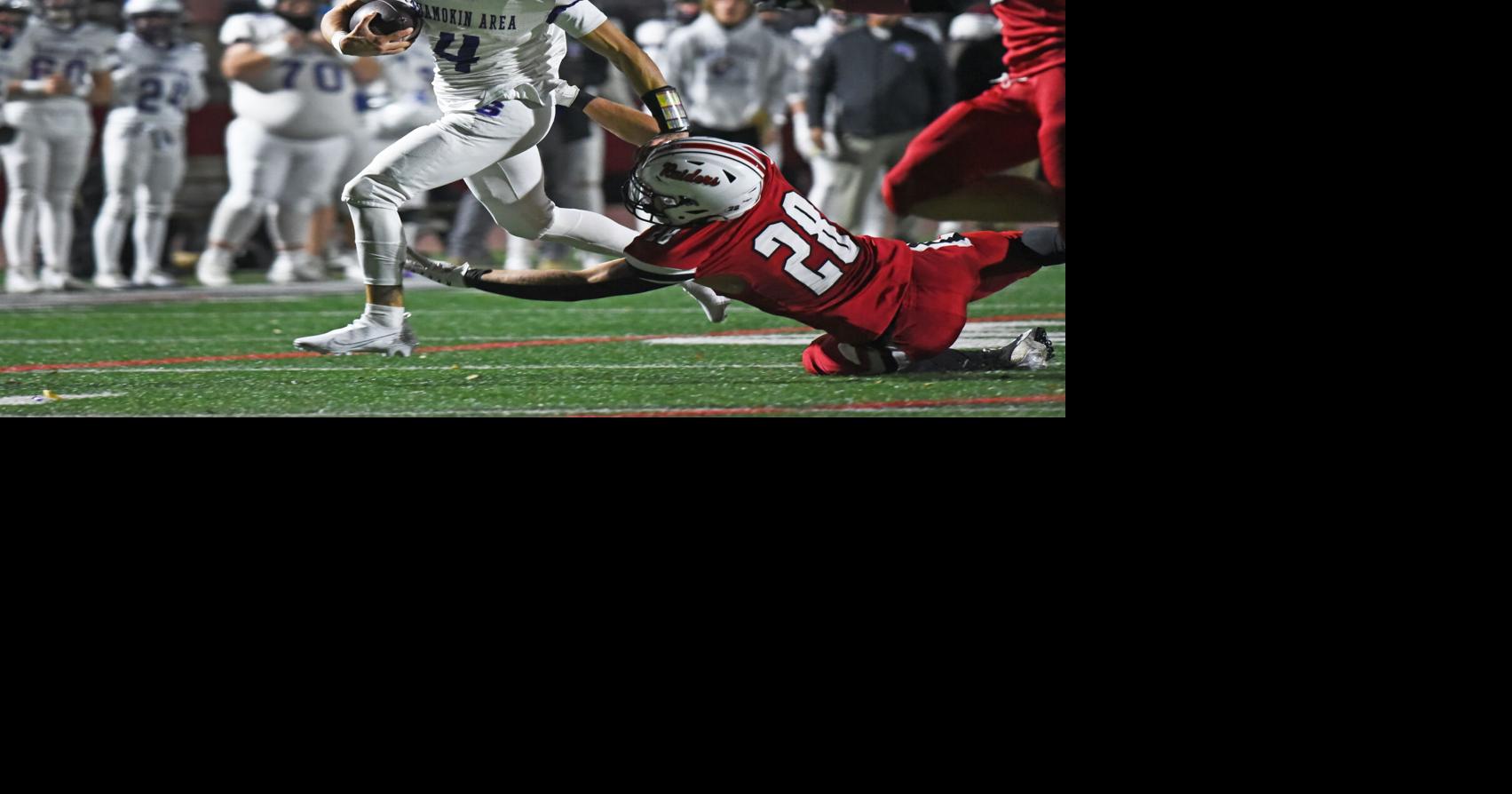 H.S. Football: Shamokin's Steele and Persing, Southern's Roth earn top ...
