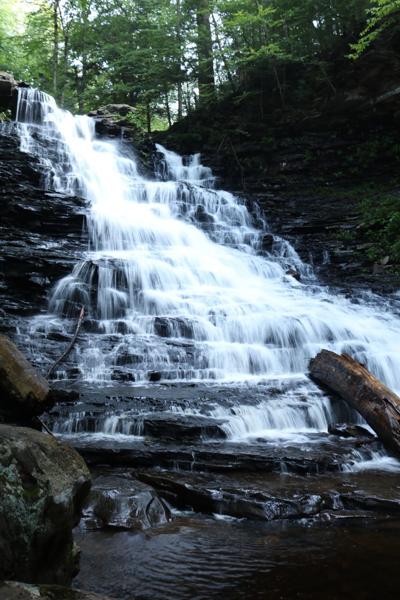 Coroner: Carlisle man died after falling 40 feet at Ricketts Glen State ...