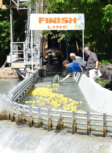 Salvation Army raises $4,260 during Duck Drop | Local | newsitem.com