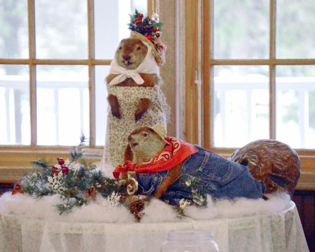 Sweet Arrow Lake groundhogs Grover and Sue 'predict' an early spring at ...