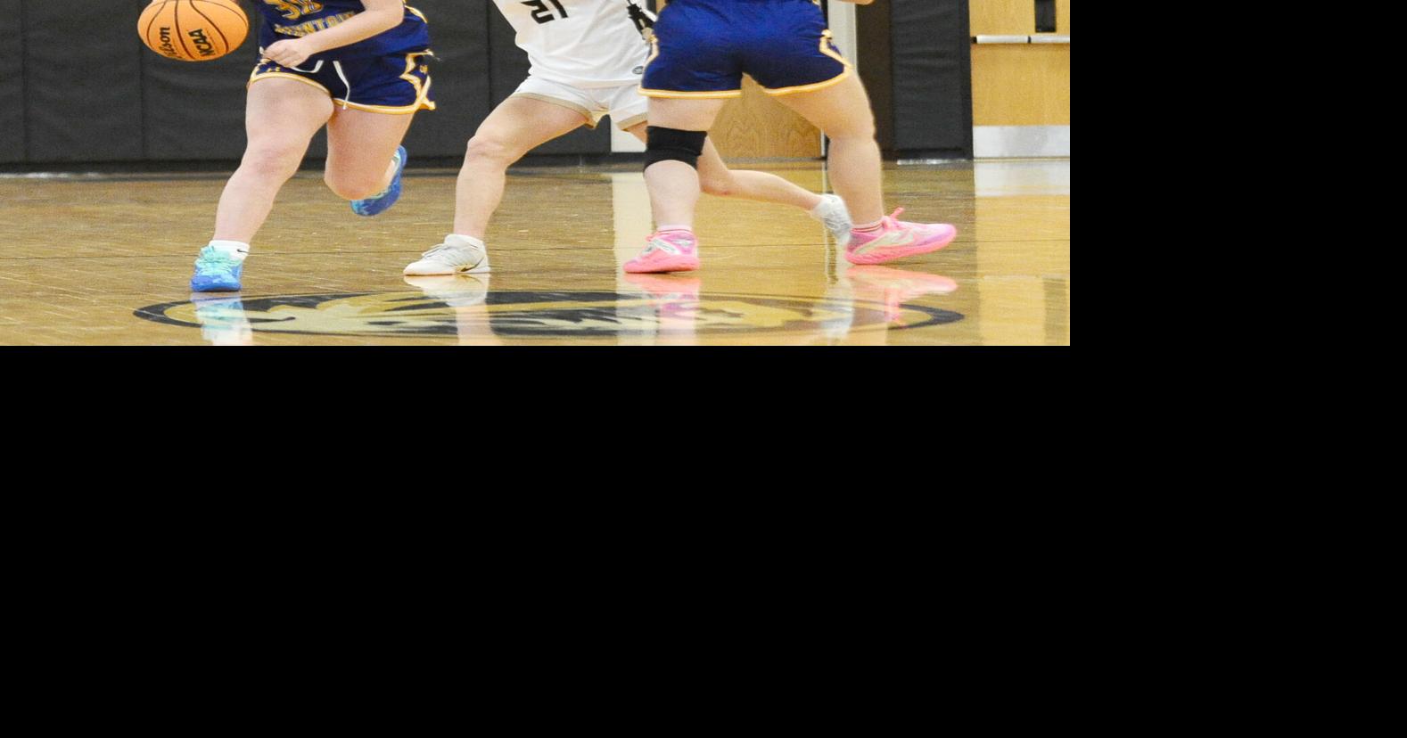 H.S. Girls Basketball: Buriak, Line Mountain edge Southern Columbia ...