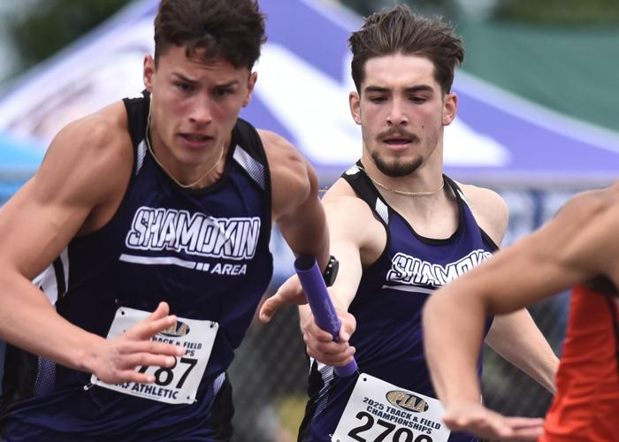Three local boys medal on day one of PIAA track and field championships ...