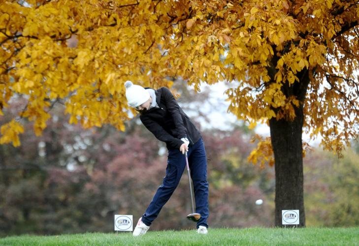 H.S. Golf: Eagle, pars help Rabb claim title | Sports | newsitem.com