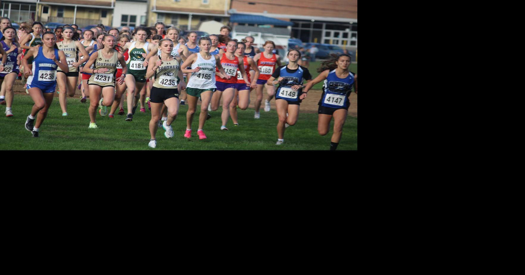 H.S. Cross Country: SCA's Moncavage takes second at PHAC Invitational ...