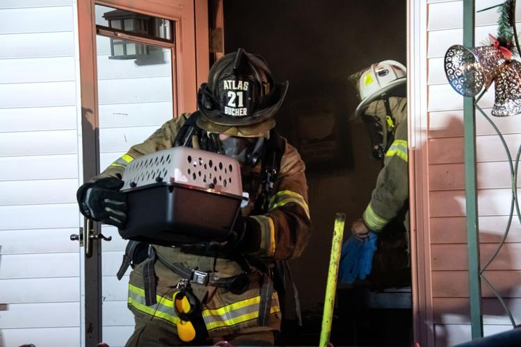 Two dogs perish in Kulpmont blaze; fire also damages former Shamokin ...