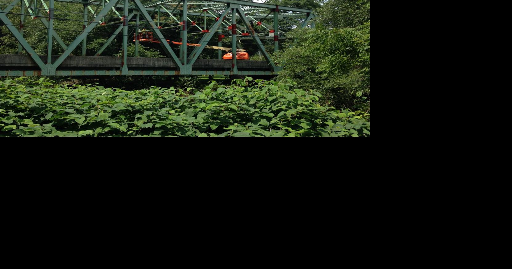 Dornsife bridge reopens after 24 weeks | Local | newsitem.com