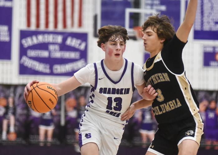 H.S. Boys Basketball: Shamokin rallies past Southern in Probert Tourney ...