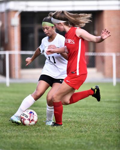 H.S. Girls Soccer: Reed scores twice in Lourdes loss | Sports ...