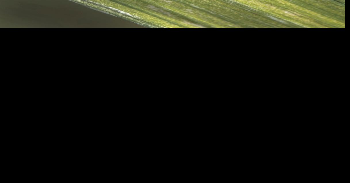 New tick species capable of transmitting deadly disease is spreading in ...