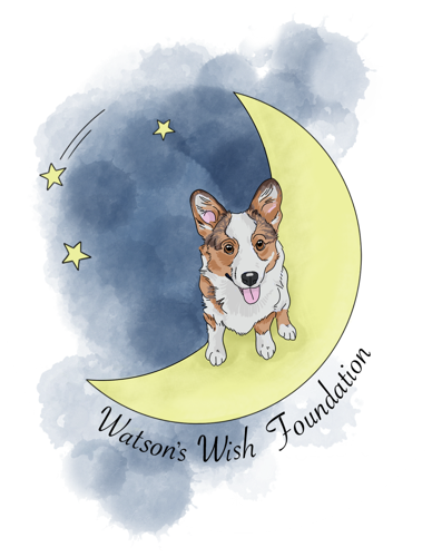 Trevorton woman launches charity to cover vet bills for pet owners ...