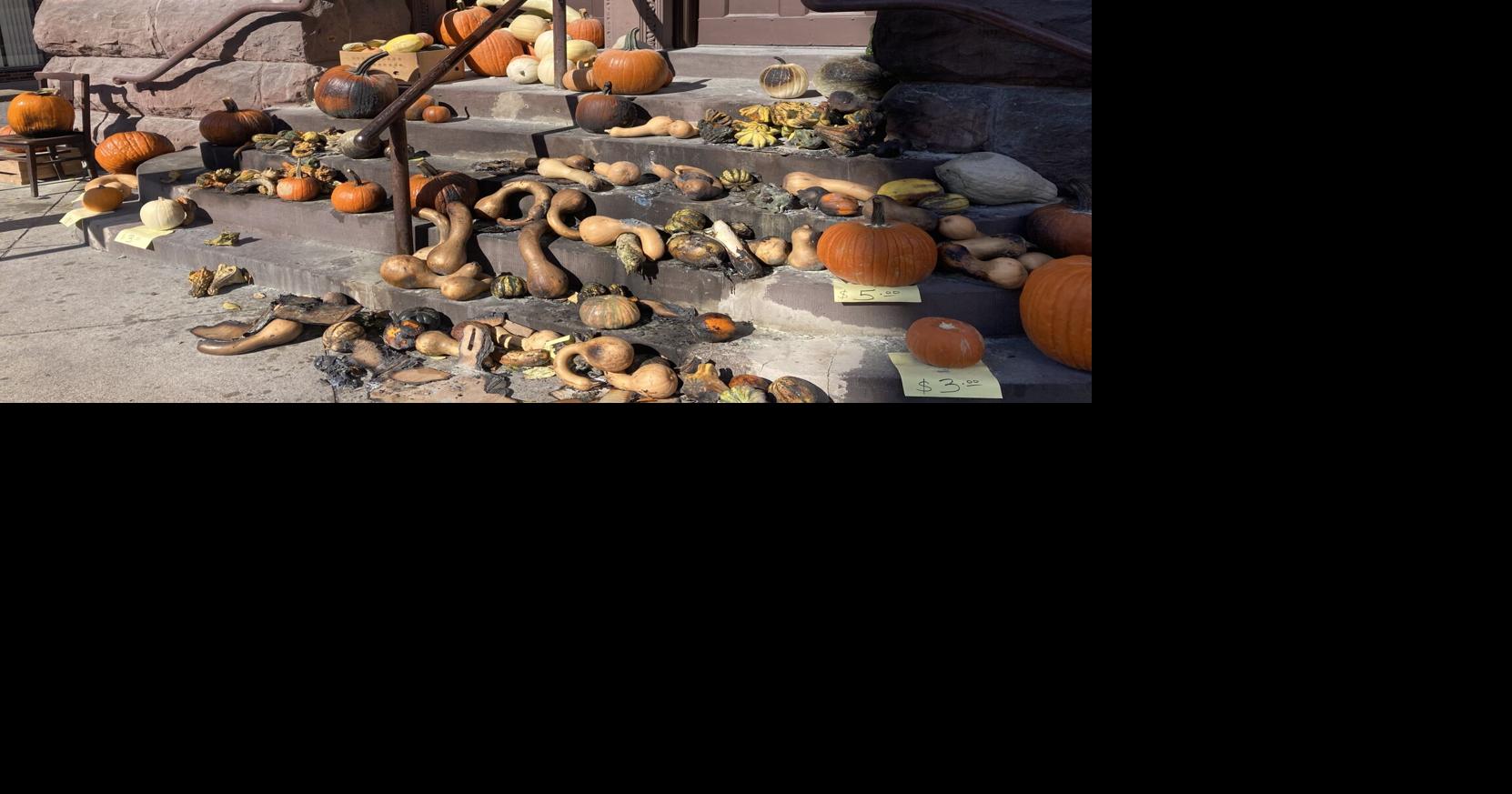 Police: Homeless man set pumpkins on fire in downtown Shamokin | Local ...