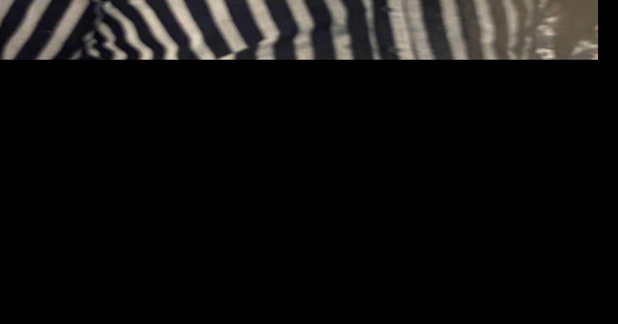 Ernest J. 'Ernie' Delbo Sr. | Obituaries | newsitem.com