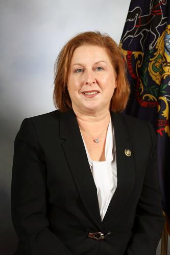 Schlegel Culver wins state Senate seat | Local | newsitem.com