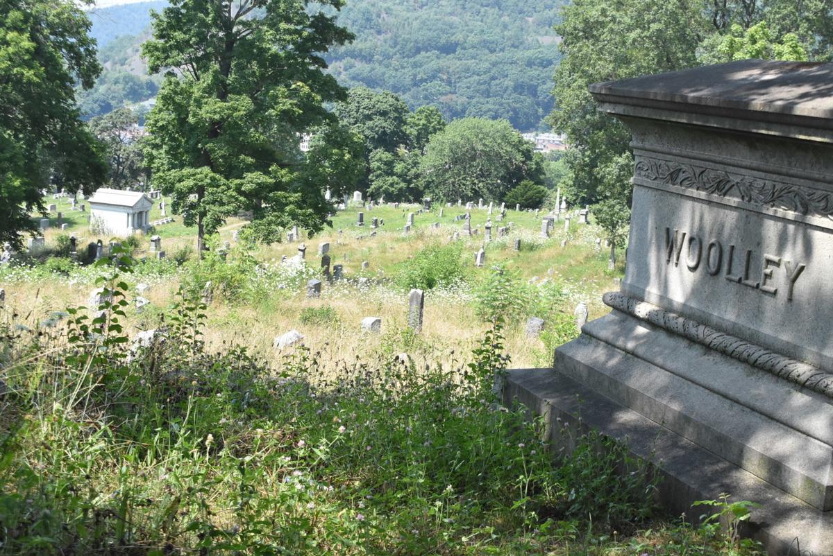 Shamokin Cemetery Blight | Local | newsitem.com