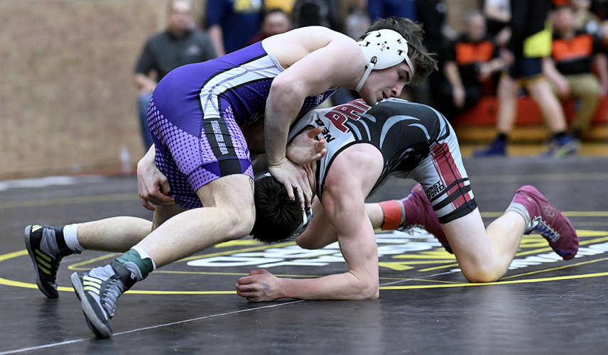 H.S. Wrestling: Schadel and Rothermel win D4 titles as 11 total locals ...