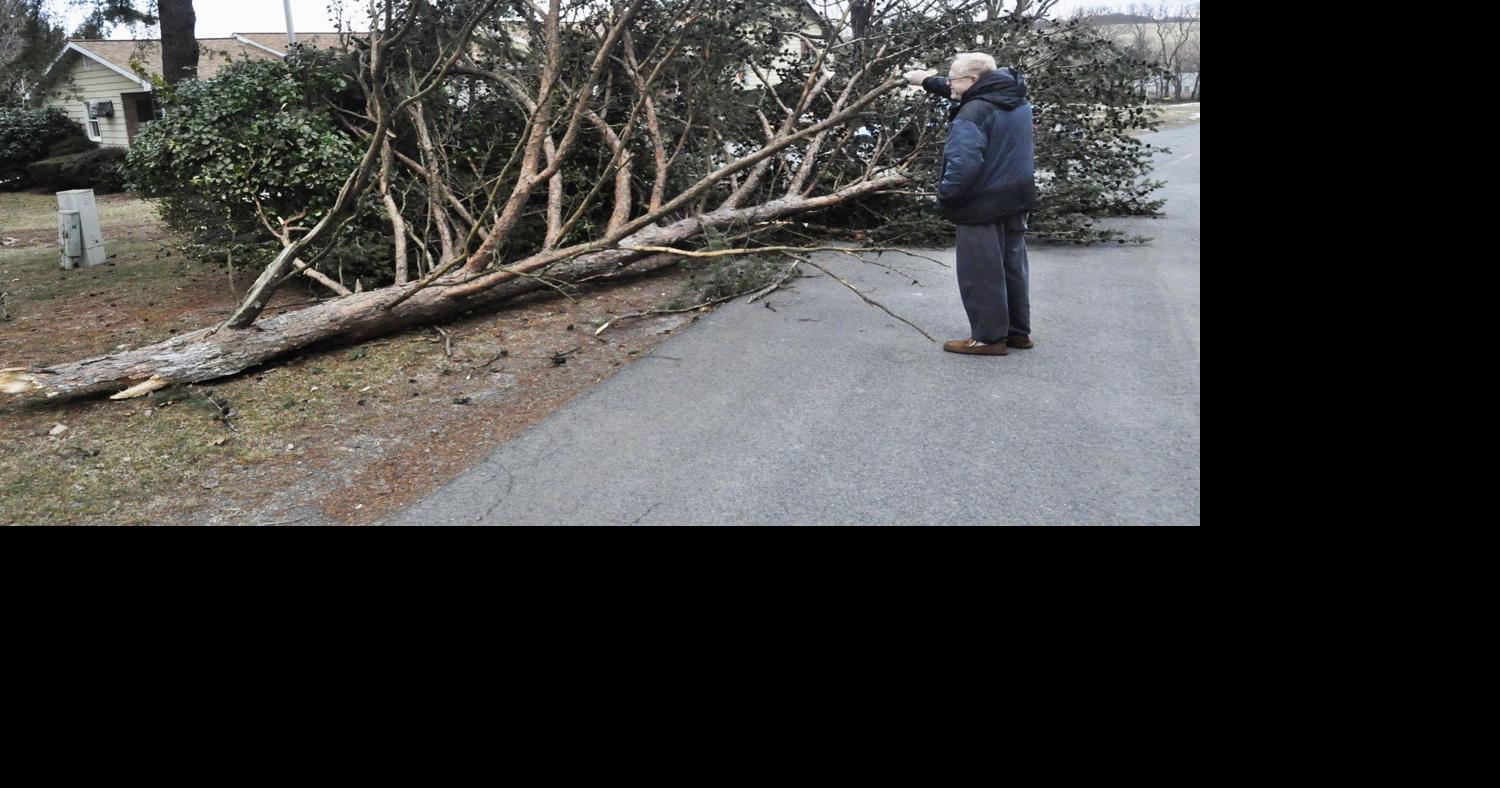 Windswept: Powerful gusts topple trees, knock out power to thousands ...