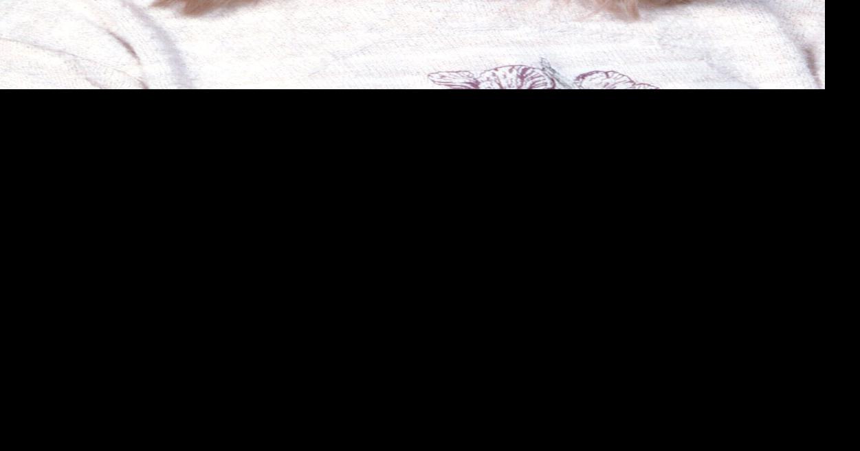 Deborah A. 'Debbie' Gownley | Obituaries | newsitem.com