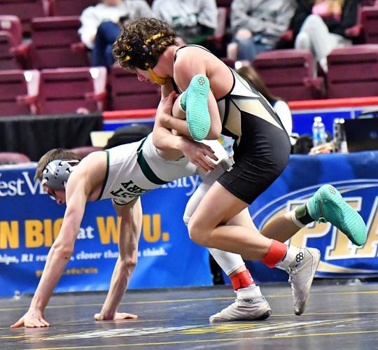 H.S. Wrestling: Barvitskie overcame adversity to still podium at states ...